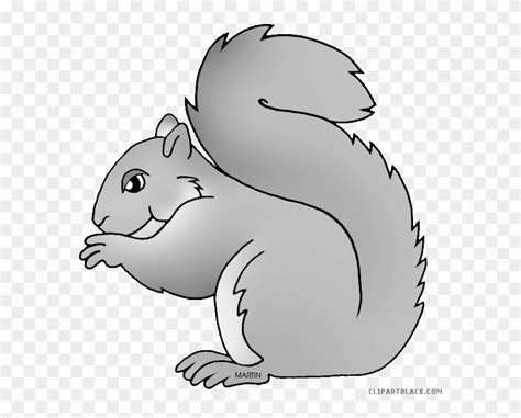 Download Grey Squirrel Clipart Grey Squirrel Clipart Grey Squirrel