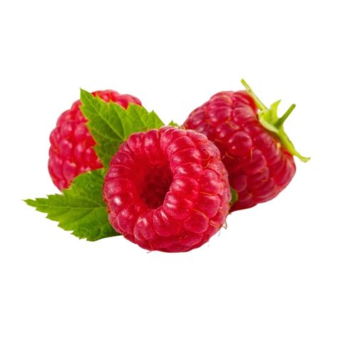 Raspberry Seed Oil Natural Zest Skincare Raspberry Seed Oil Natural Zest Skincare