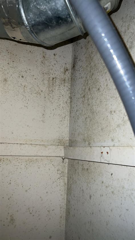 Dangerous Mold Rtoxicmoldexposure