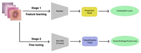 An Asymmetric Contrastive Loss For Handling Imbalanced Datasets