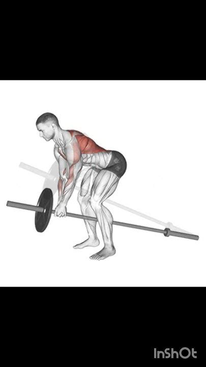 Упражнение на спину Youtube