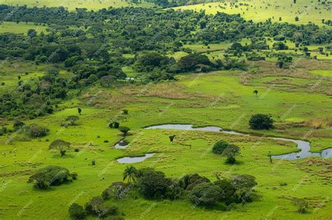 Assessing Habitat Fragmentation Ar Generative Ai Premium Ai Generated