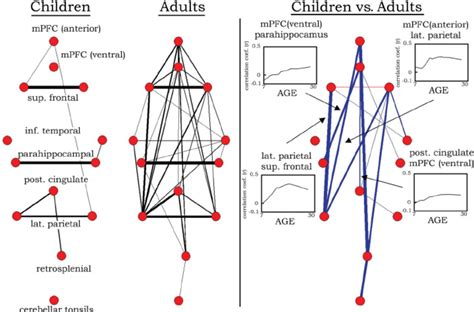 Graph Visualization Of The Correlation Matrices Shown In Fig Download Scientific Diagram