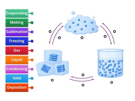 States Of Matter And Phase Changes Solid Liquid And Gas Labelled Diagram