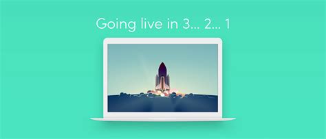 5 Methods You Can Use To Deploy Your Web App Part 1ngrok By Raja Raghav Programming Sage