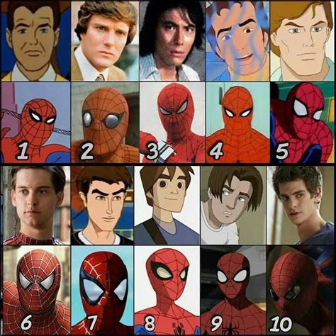 Evolution Of Spiderman Arte De Marvel Spiderman Dibujos Animados