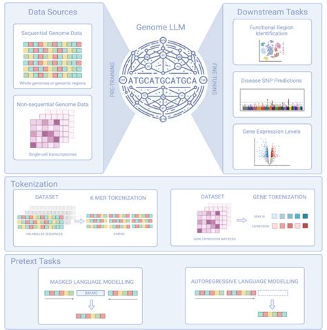 transforming genetic research the impact of large language models in