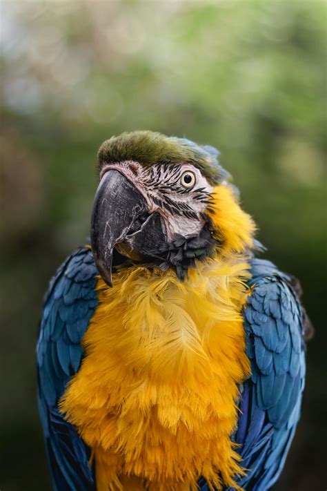 700000 Foto Cewekcinacantikbugil Terbaik · Unduh Gratis 100