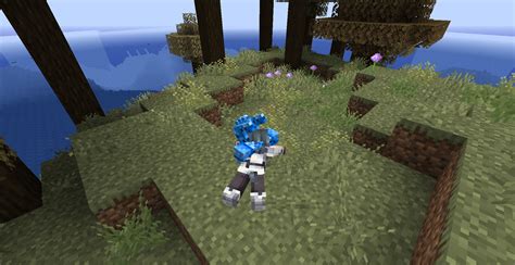 Armor Rendering Problem Issue Makamys SmartMoving GitHub