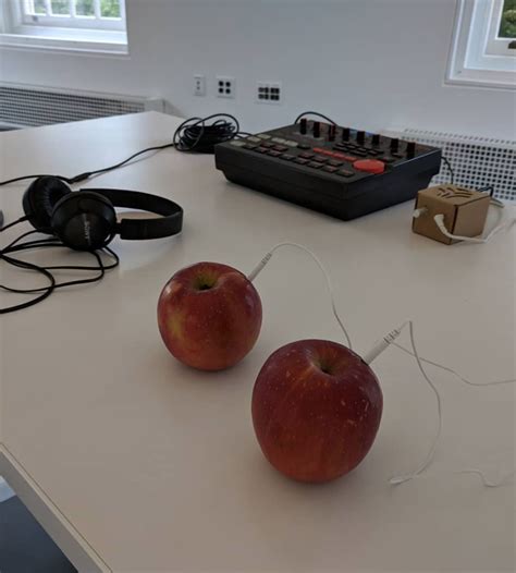 talking with plants biodata sonification interactive installation