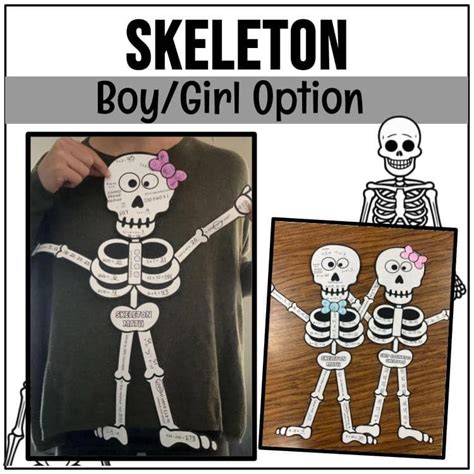 3rd Grade Halloween Math Skeleton Craft October November Bulletin Board