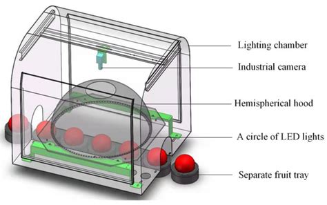 Foods Free Full Text Real Time Grading Of Defect Apples Using Semantic Segmentation