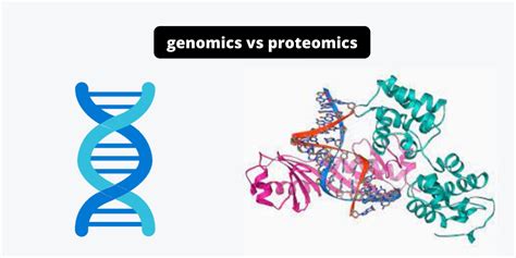 22 Differences Between Endonuclease And Exonuclease Endonuclease Vs