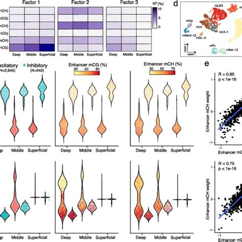 Multi Omics Factor Analysis V2 Mofa Provides An Unsupervised