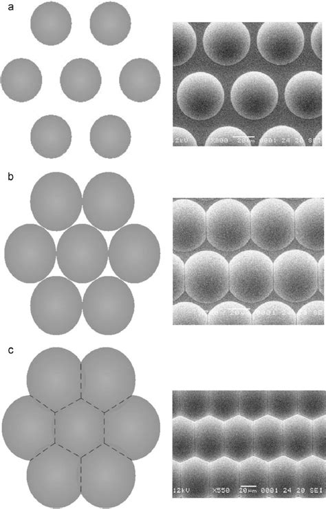 Top View Of Ni Co Electroplating Process A The Half Sphere Hexagonal Download Scientific