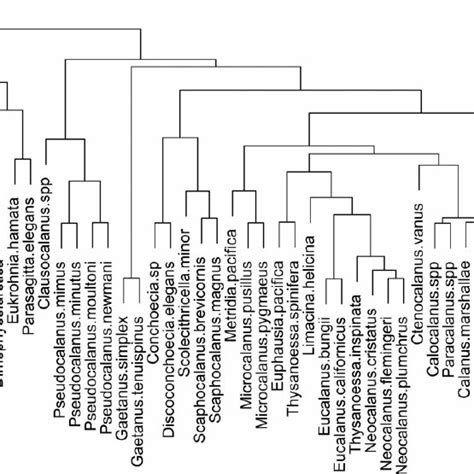 Cluster Dendrogram Based On Functional Traits Using Average Linkage Download Scientific Diagram