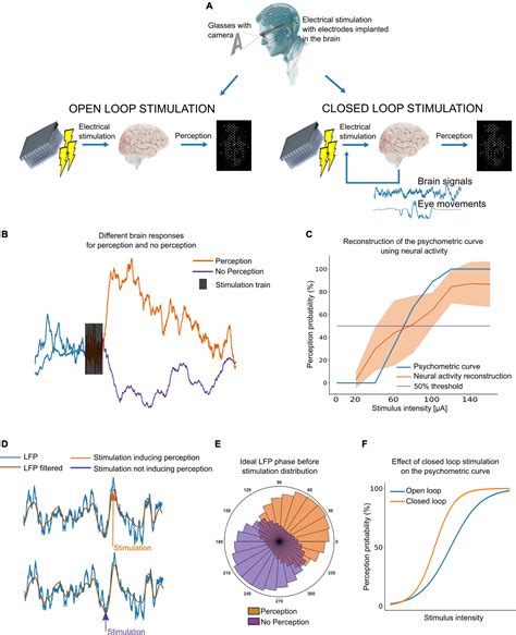 Frontiers Toward A Personalized Closed Loop Stimulation Of The Visual
