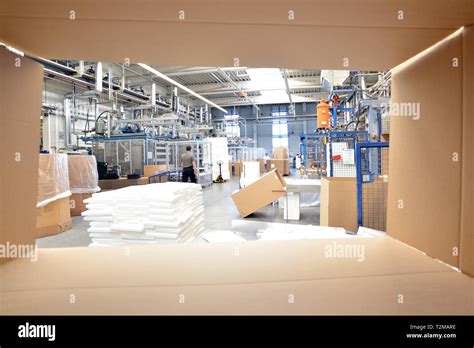 Female Worker Packing Box In Warehouse Hi Res Stock Photography And Images Alamy