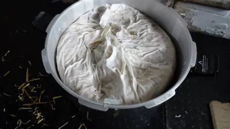 How To Pasteurize Mushroom Substrate Ezmushroom