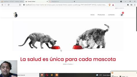 Como Crear Carrito De Compras Para Una Tienda Online 🛒 Con Localstorage