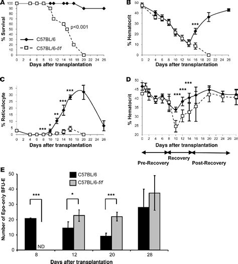 Erythrocyte Differentiation Pathway Semantic Scholar