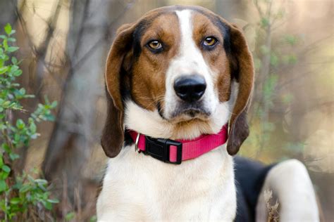 40 Facts About Krypton Difluoride