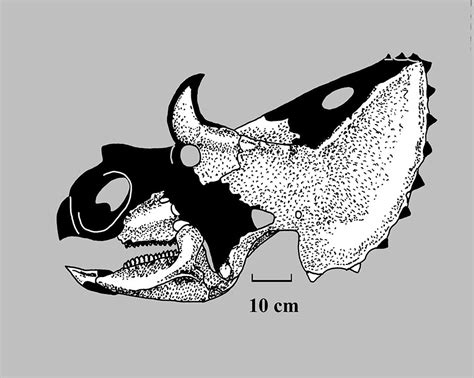 Untitled Document []