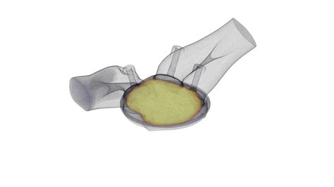 Capabilites Realis Simulation