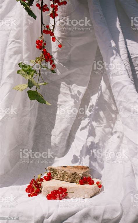 붉은 건포도 과일 녹색 잎 대리석 및 콘크리트가 있는 자연 햇볕이 잘 드는 모형이 흰색 소박한 천에 대비합니다 수직 프레임 0명에 대한 스톡 사진 및 기타 이미지 Istock