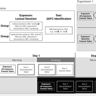 Schematic Of Testing Procedures For Experiments And Download Scientific Diagram