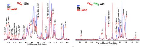Figure 2 From This Information Is Current As Macrophages Into An M 1 Like Phenotype Glucan