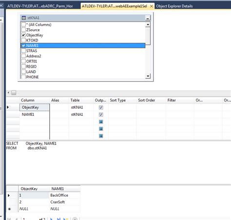 Automation Engine Developer Guide Software Support
