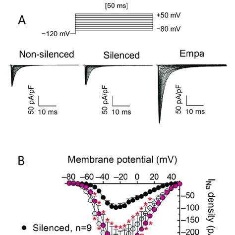 dapa and empa modified voltage dependence of i na activation and