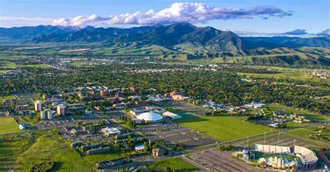 Montana State University