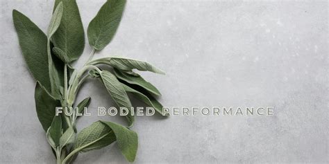 What Is Alpha Zero Zero Surfaces