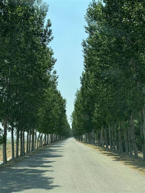 Eric Liu On Linkedin Who Doesnt Love Summer Except The Heat