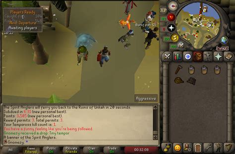 1 Kc Tiny Tempor Pet Xd R2007scape