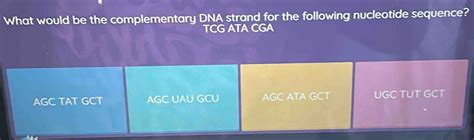 Solved What Would Be The Complementary Dna Strand For The Following