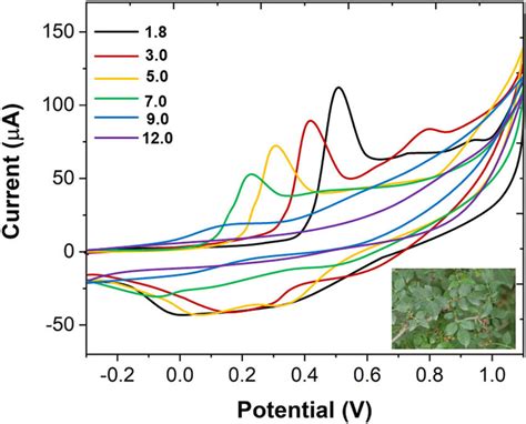 CV Curves Of Quercetin In Different PH Values Of BR Buffer Solutions Download Scientific