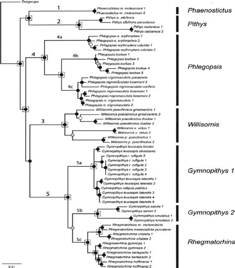 Fifty Percent Majority Rule Bayesian Consensus Tree Of The Core