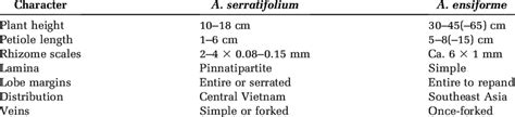 Morphological Comparison Between Asplenium Serratifolium And A