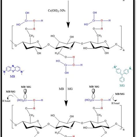 Xrd Patterns Of A Cnc B Cr Oh 3 Nps And C Cr Oh 3 Nps Cnc