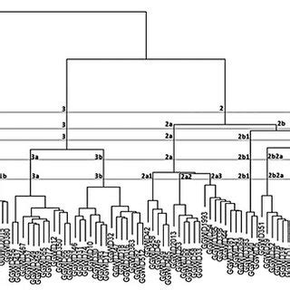 Hierarchical Cluster Analysis Conducted Using The Euclidean Distance