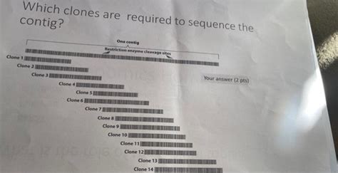 Solved Which Clones Are Required To Sequence The Contig