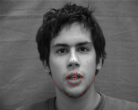 A Sample Set Of Facial Landmark Points Using The Dlib Detector Download Scientific Diagram