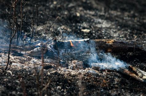 Хөвсгөл аймгийн Жаргалант суманд ой хээрийн түймэр гарч ойролцоогоор хоёр га талбай өртжээ