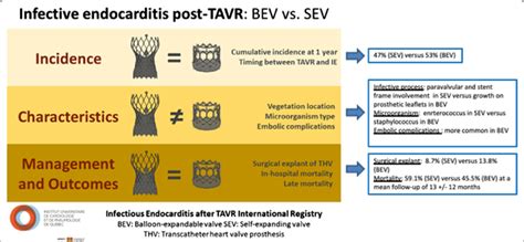 Endocarditis Post Tavr Balloon Expandable Versus Self Expandable Valve