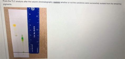Solved From The TLC Analysis After The Column Chromatography Chegg Com
