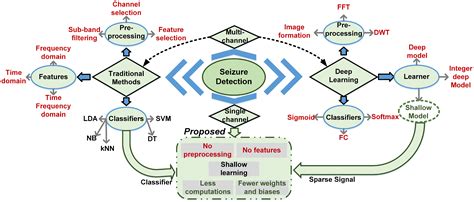 A Shallow Autoencoder Framework For Epileptic Seizure Detection In Eeg Signals