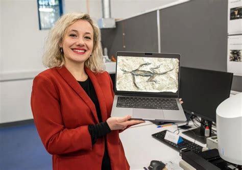 Historical Forgery Analysis Shows Fossil Doesnt Show Skin Preservation